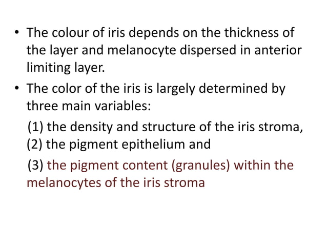 Anatomy of iris | PPTX