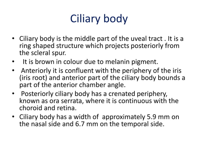 Anatomy of iris | PPTX