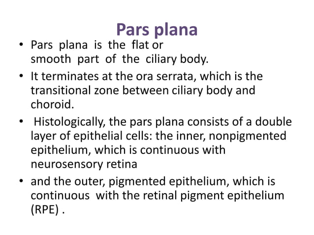 Anatomy of iris | PPTX