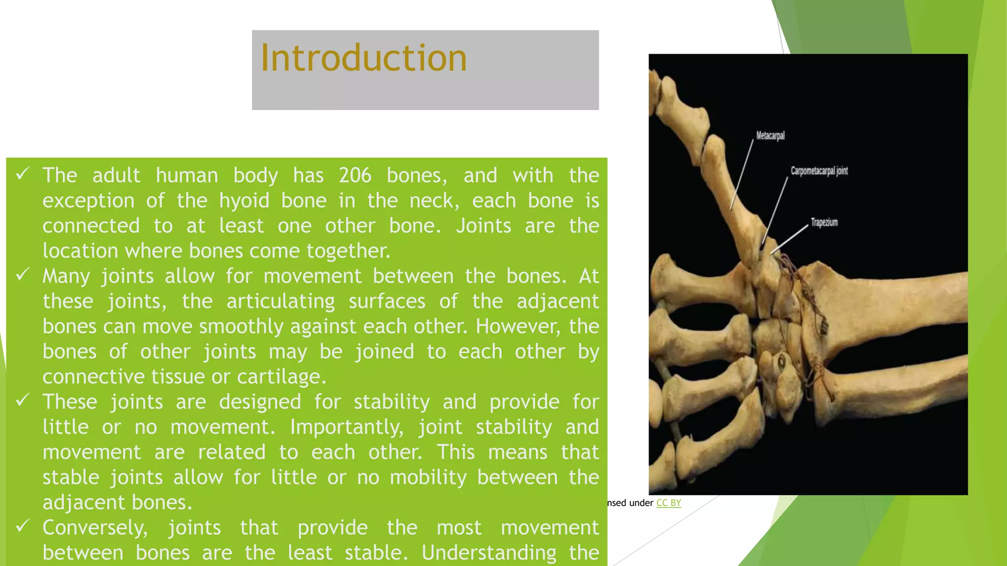 anatomy of joints.pptx