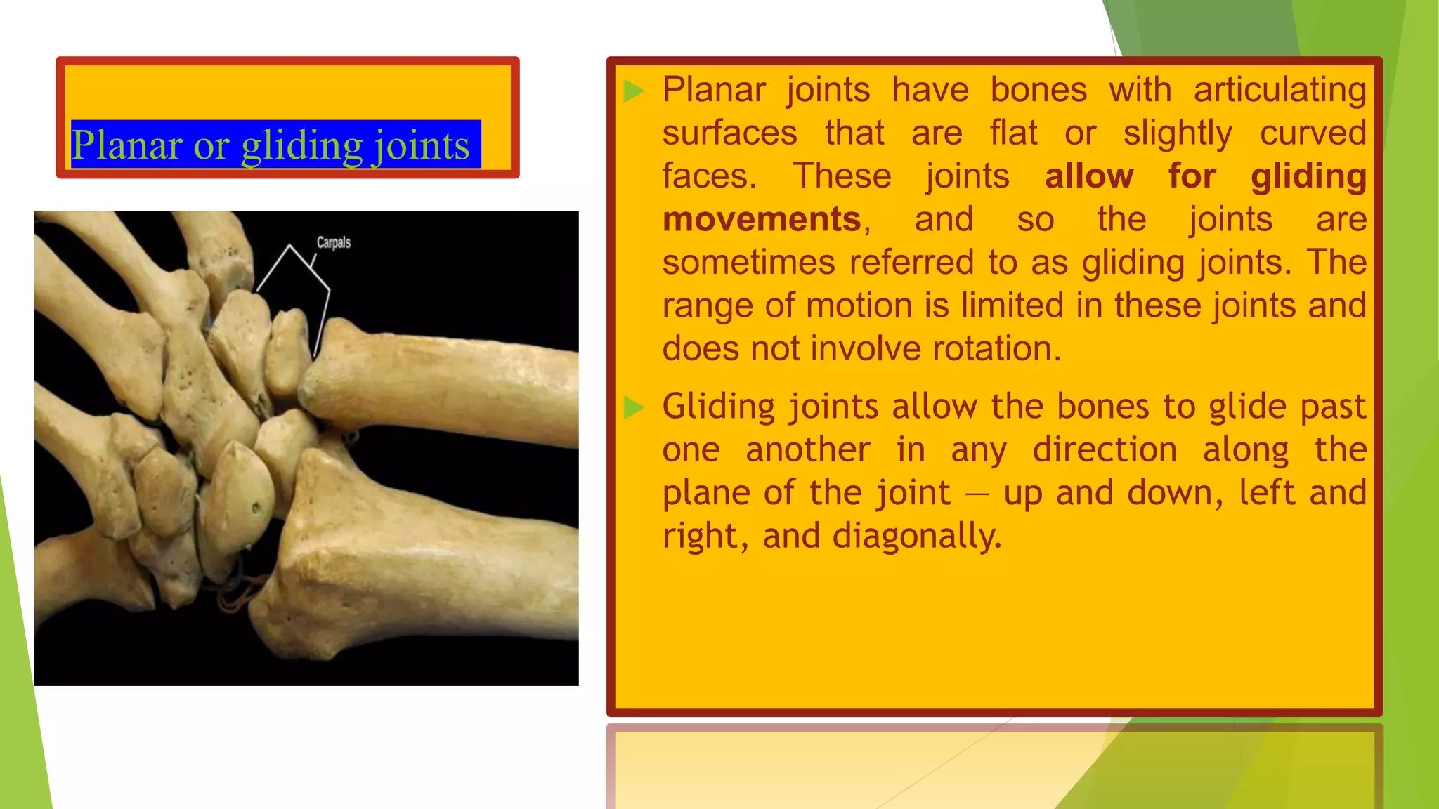 anatomy of joints.pptx
