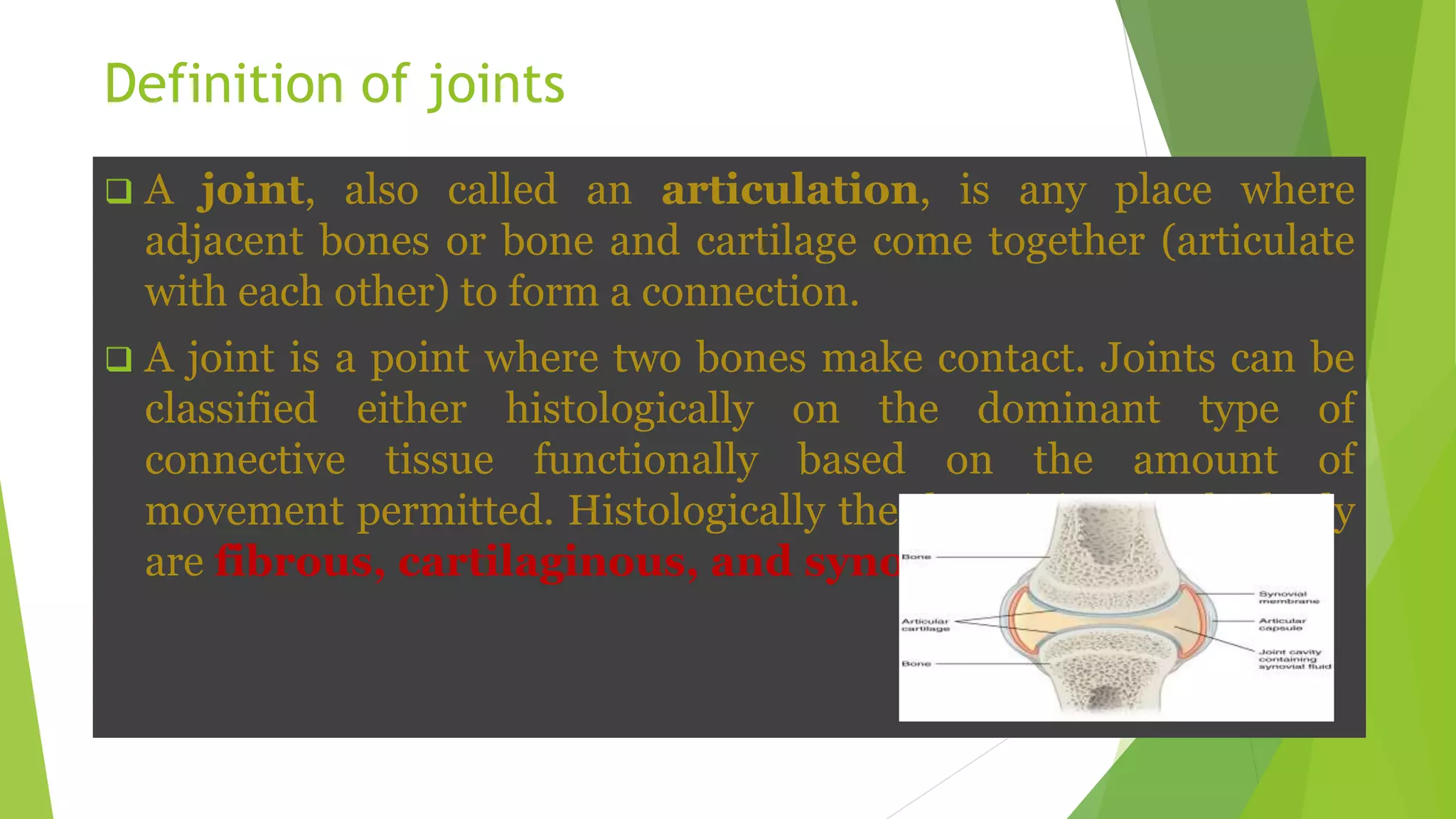 anatomy of joints.pptx