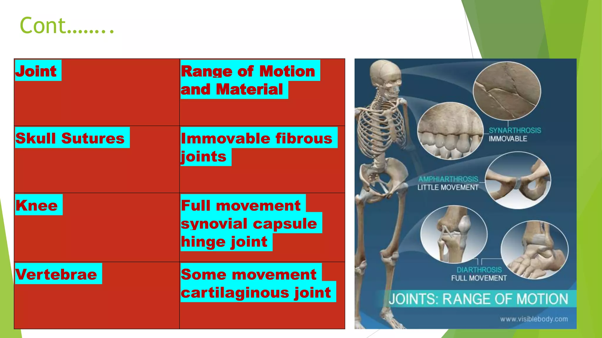 anatomy of joints.pptx