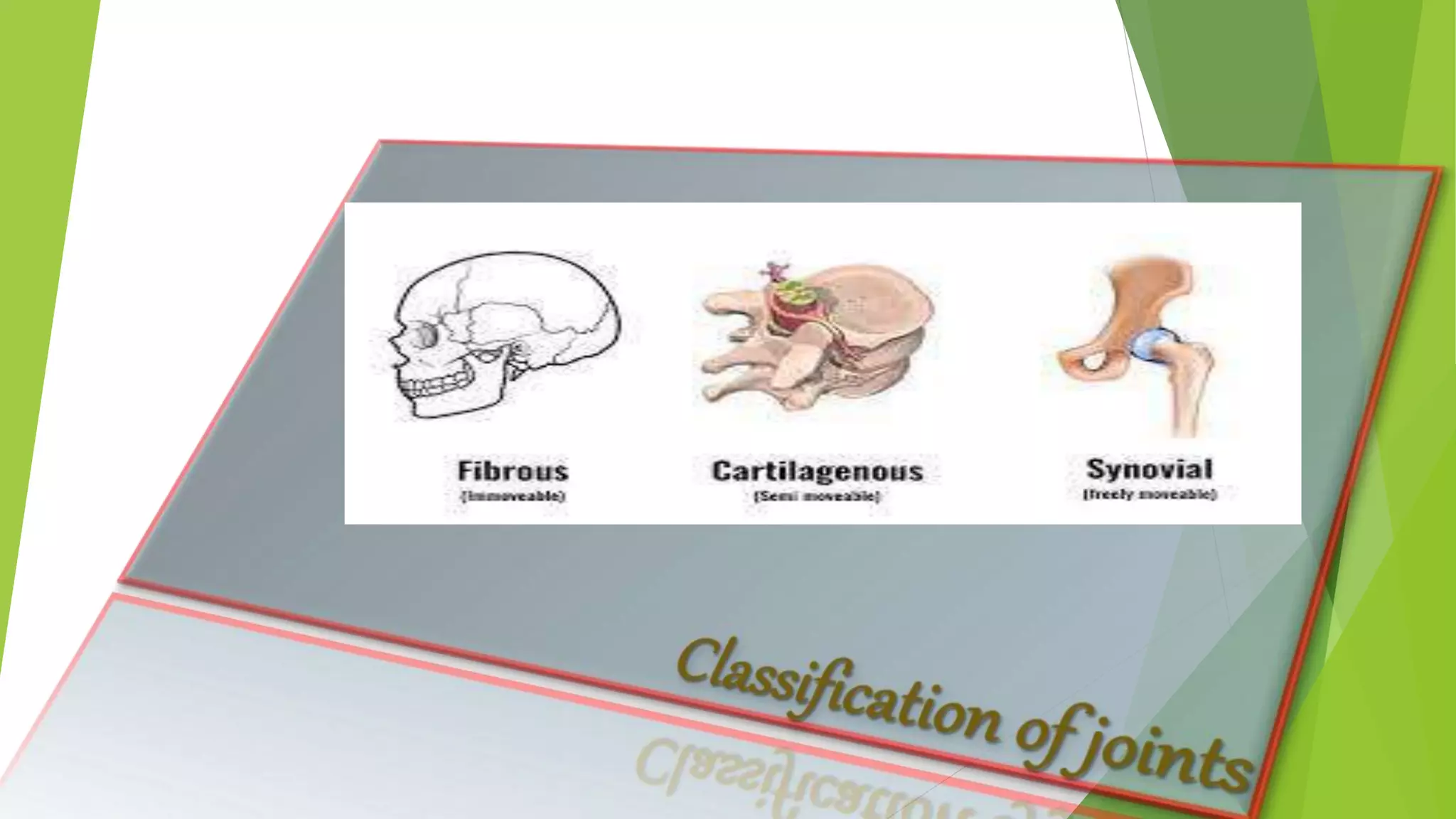 anatomy of joints.pptx