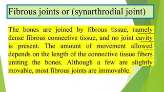 anatomy of joints.pptx