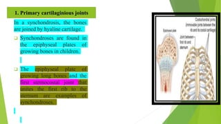 anatomy of joints.pptx
