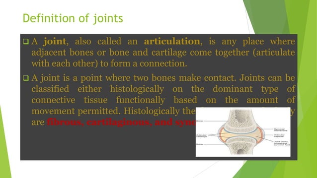 anatomy of joints.pptx