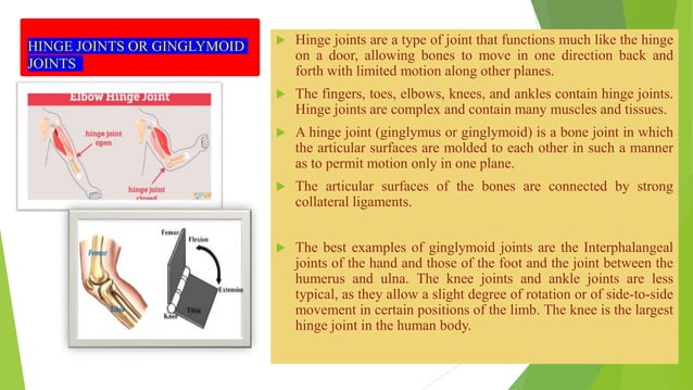anatomy of joints.pptx