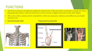anatomy of joints.pptx