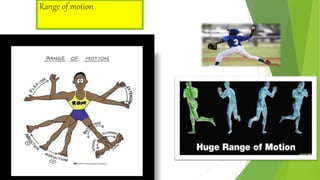 anatomy of joints.pptx