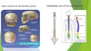 anatomy of joints.pptx