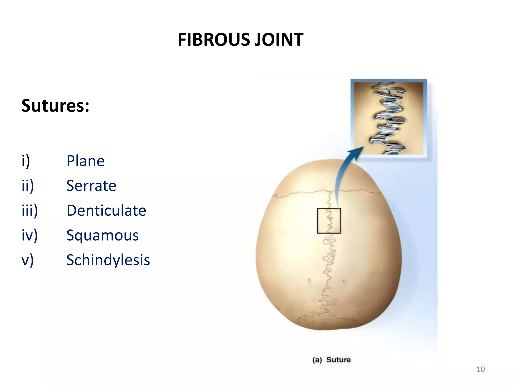 ANATOMY OF JOINTS.pptx