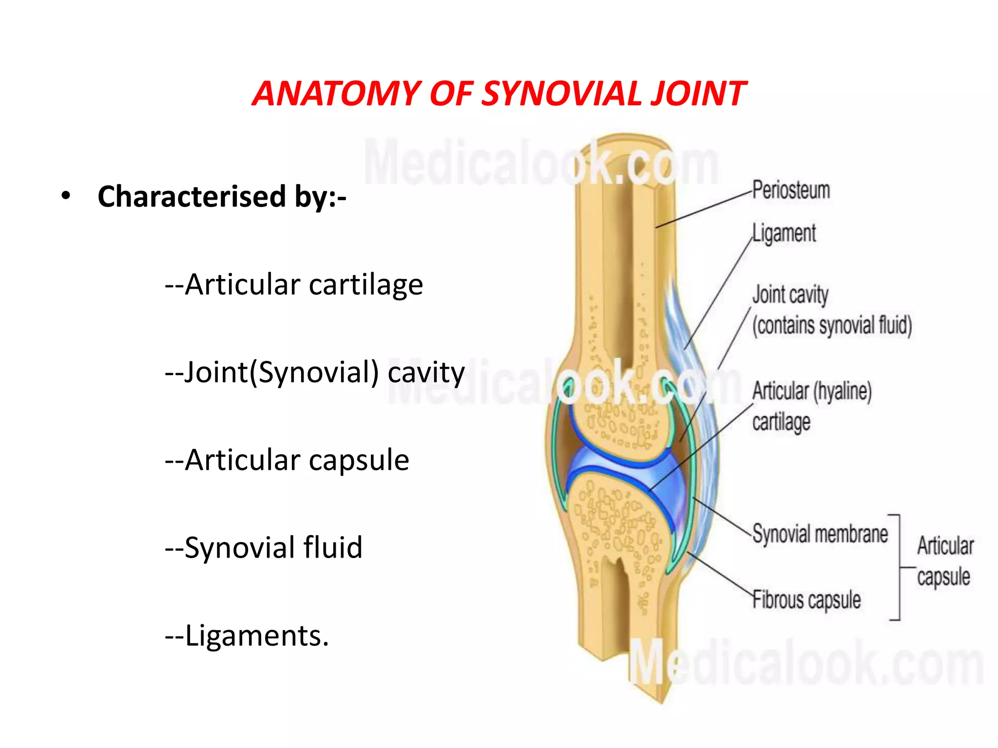 ANATOMY OF JOINTS.pptx