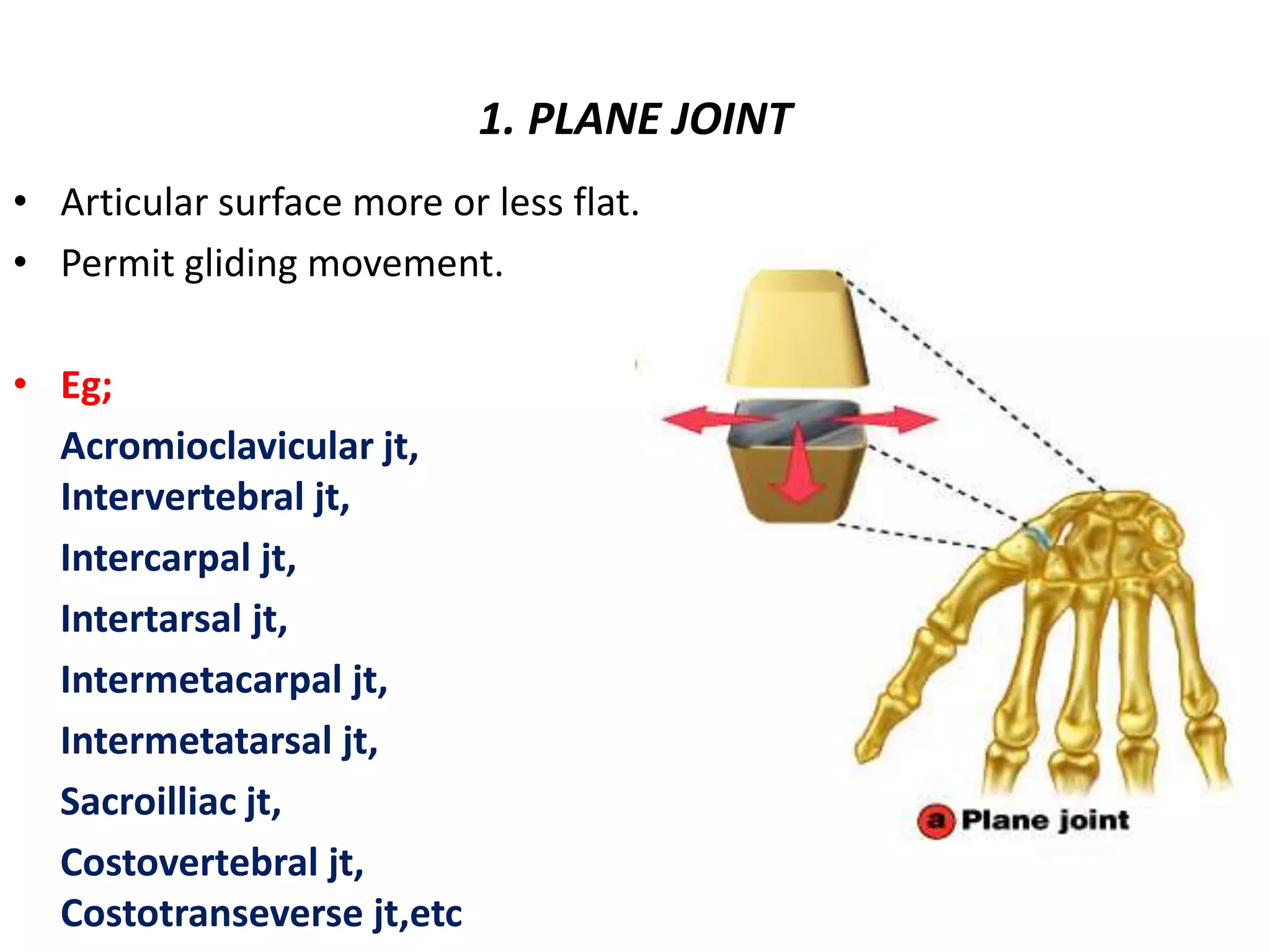 ANATOMY OF JOINTS.pptx