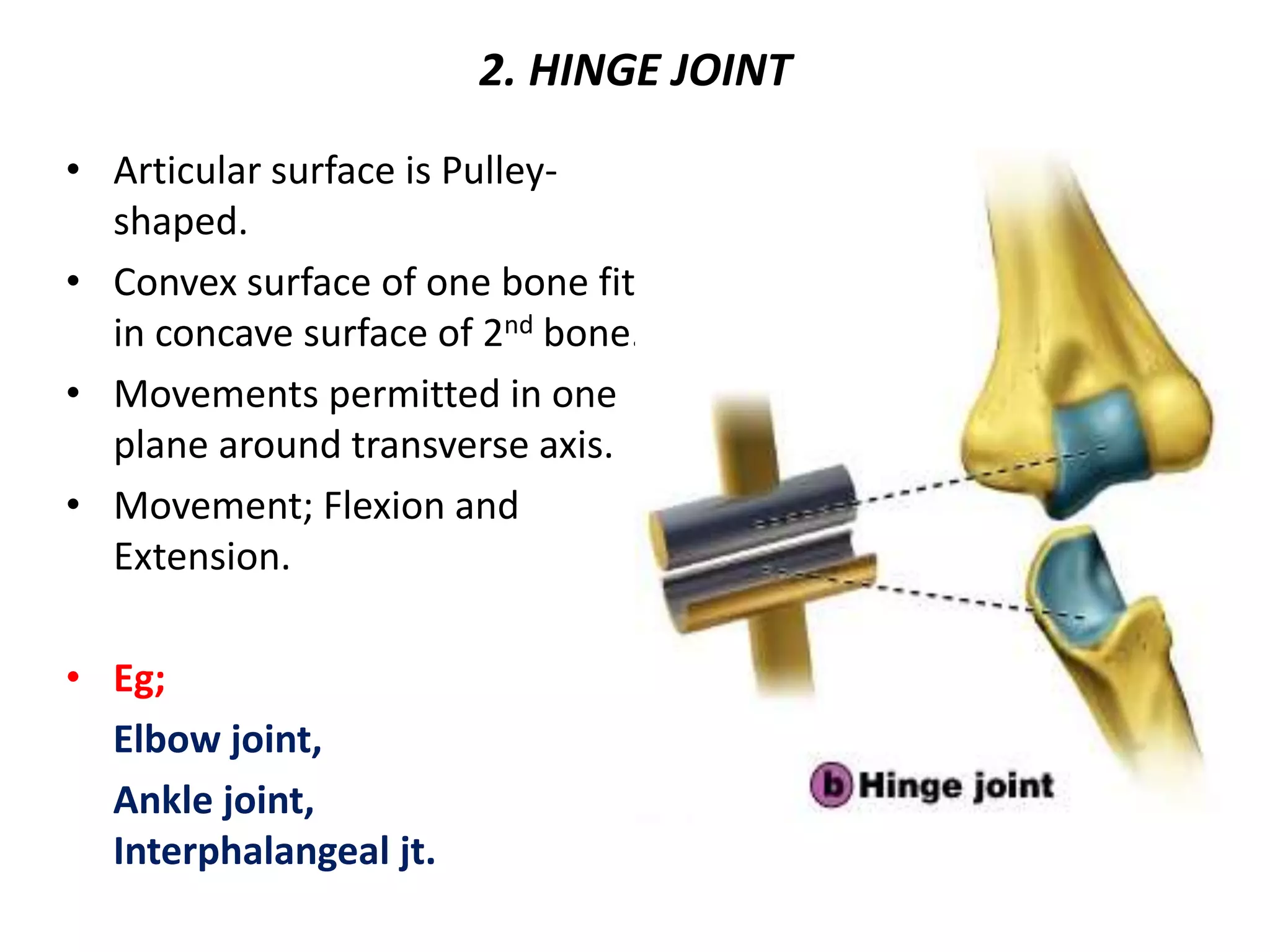 ANATOMY OF JOINTS.pptx