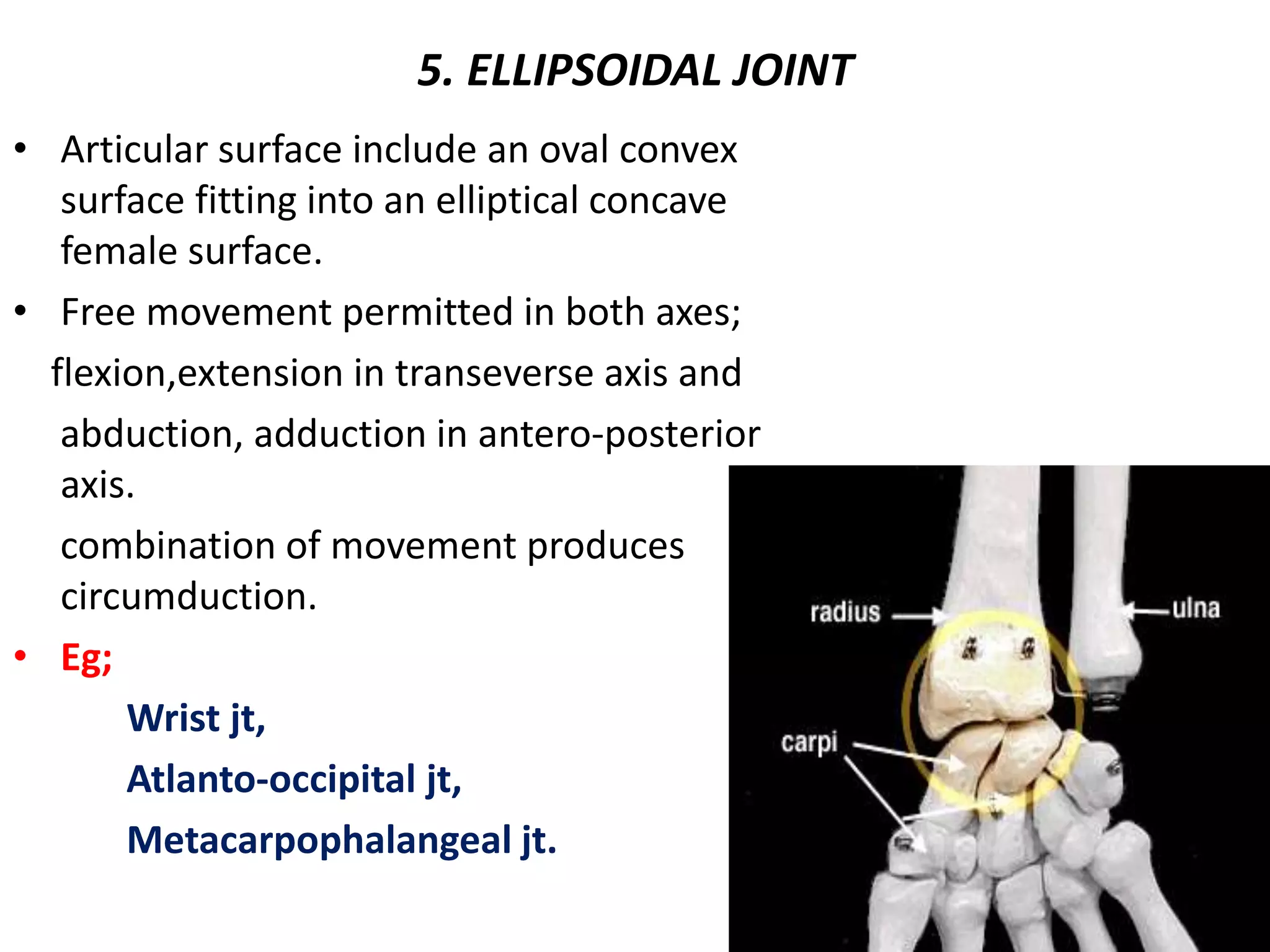 ANATOMY OF JOINTS.pptx