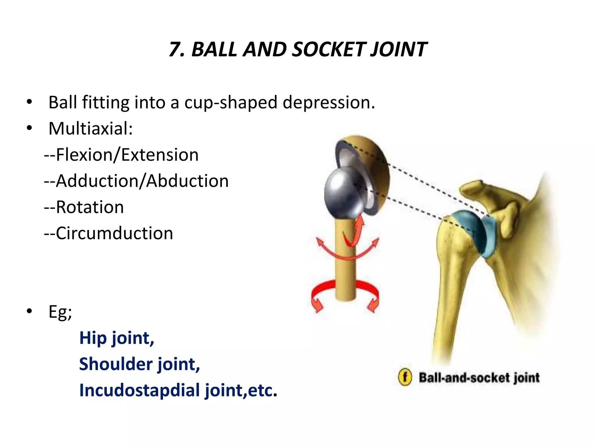 ANATOMY OF JOINTS.pptx