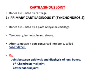 ANATOMY OF JOINTS.pptx
