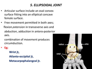 ANATOMY OF JOINTS.pptx