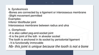 Anatomy of joints Anatomy of joints Anatomy of joints | PPTX