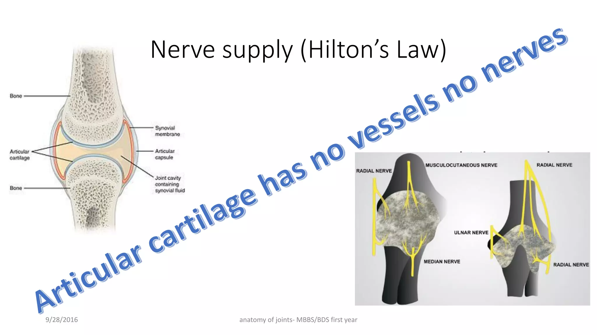 Anatomy of joints | PDF