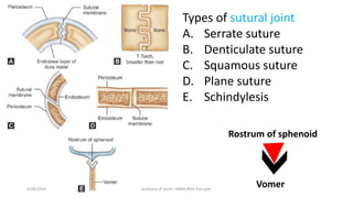 Anatomy of joints | PDF