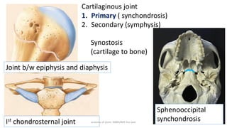 Anatomy of joints | PDF