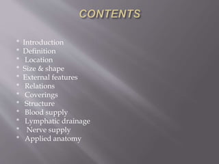 Anatomy of kideny | PPTX
