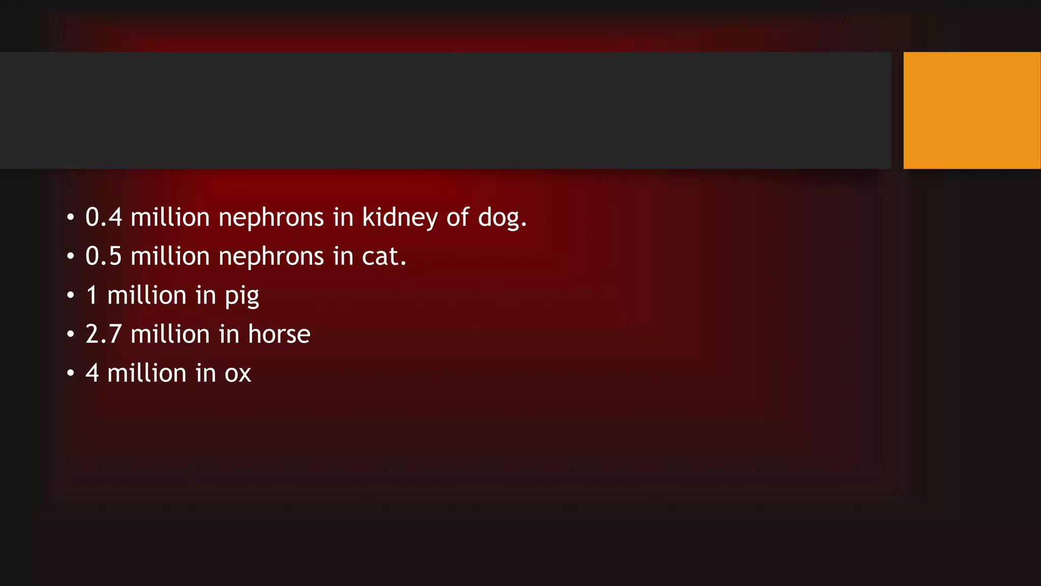 Anatomy of kidney (Animals) | PPTX