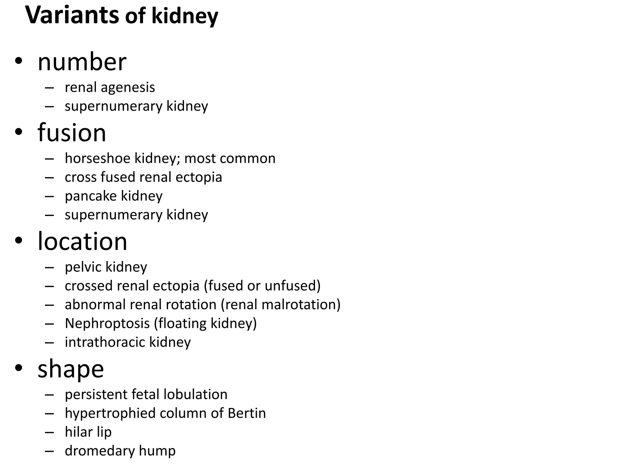ANATOMY OF KIDNEY.pptx
