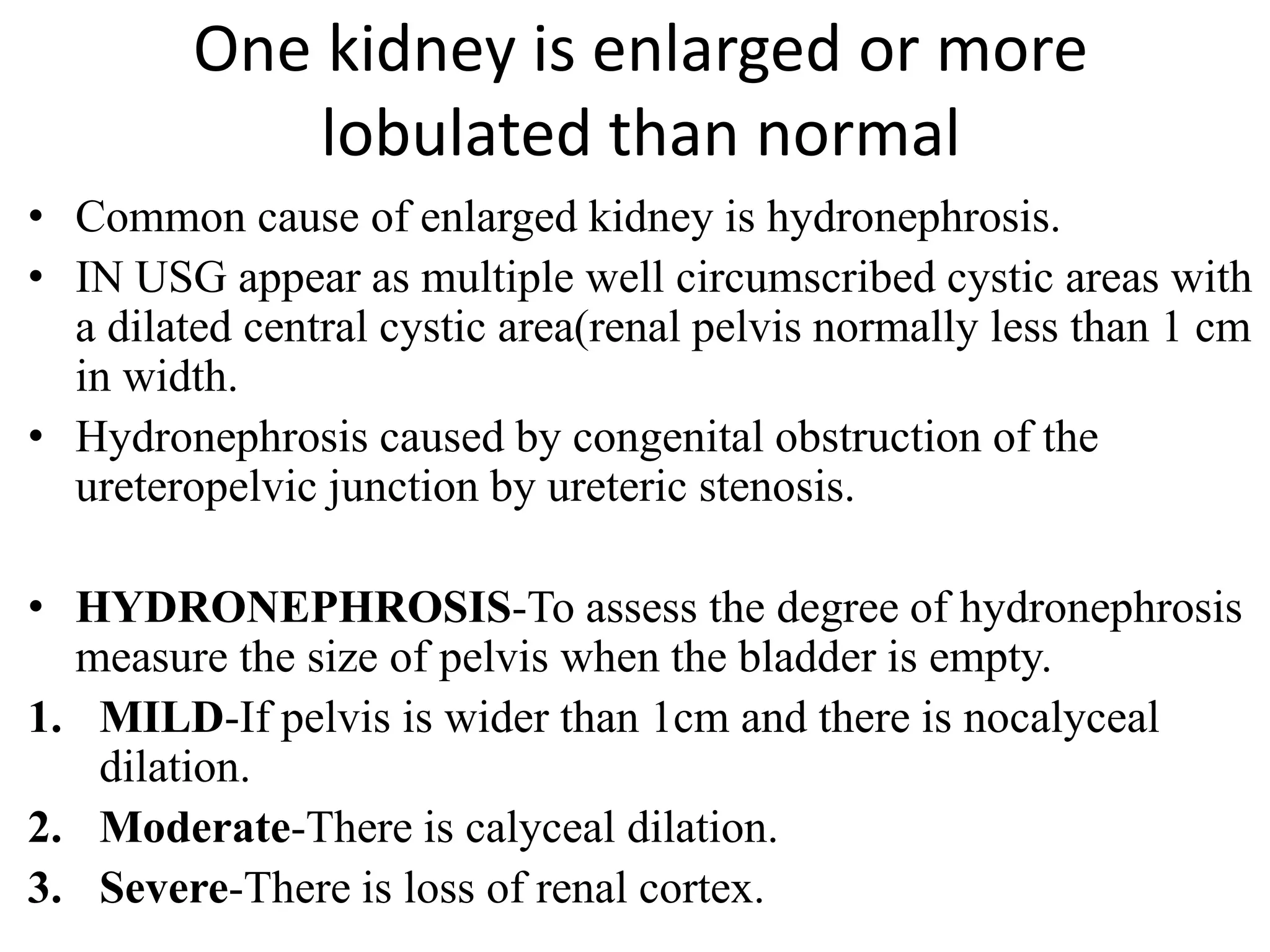 ANATOMY OF KIDNEY.pptx