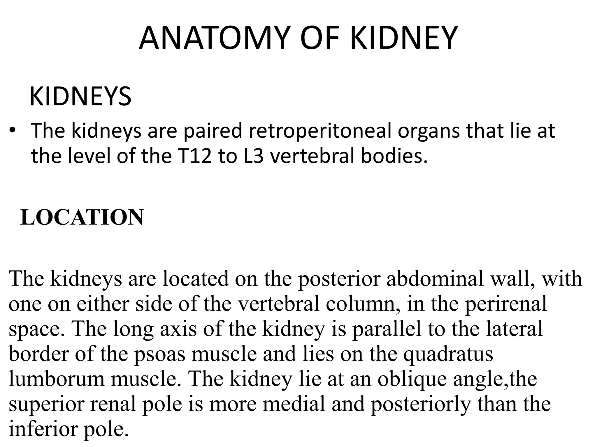 ANATOMY OF KIDNEY.pptx