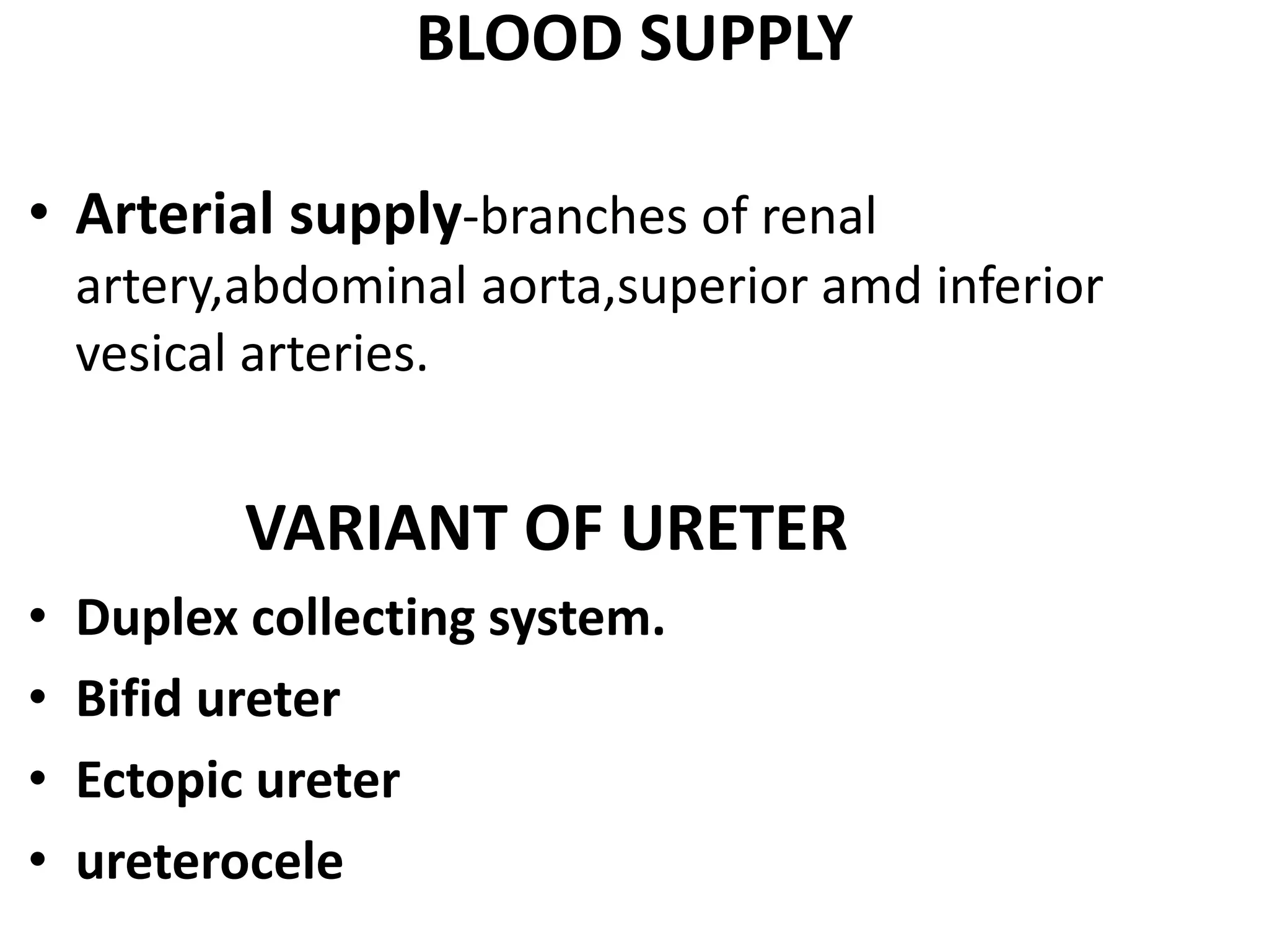 ANATOMY OF KIDNEY.pptx