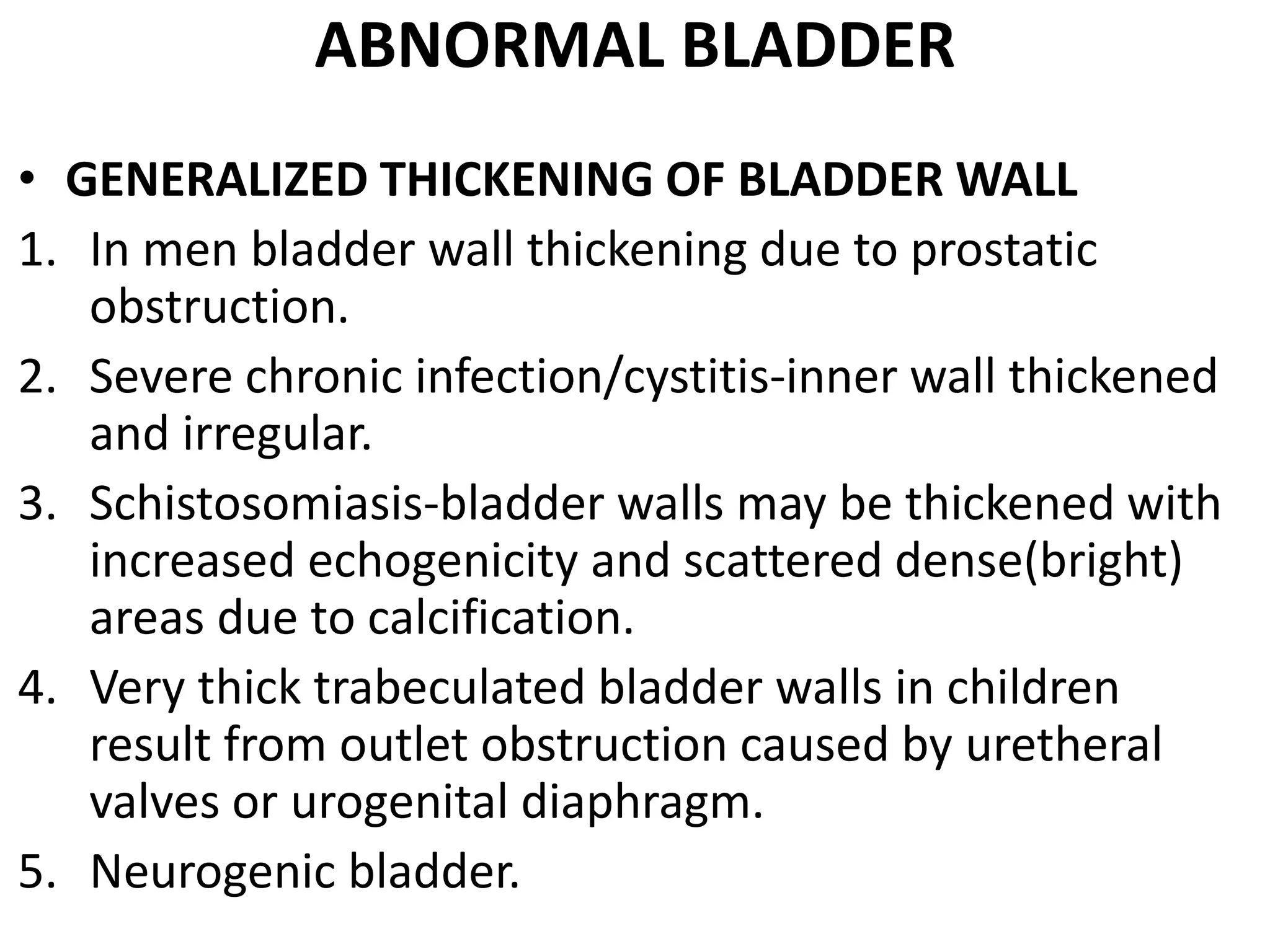 ANATOMY OF KIDNEY.pptx