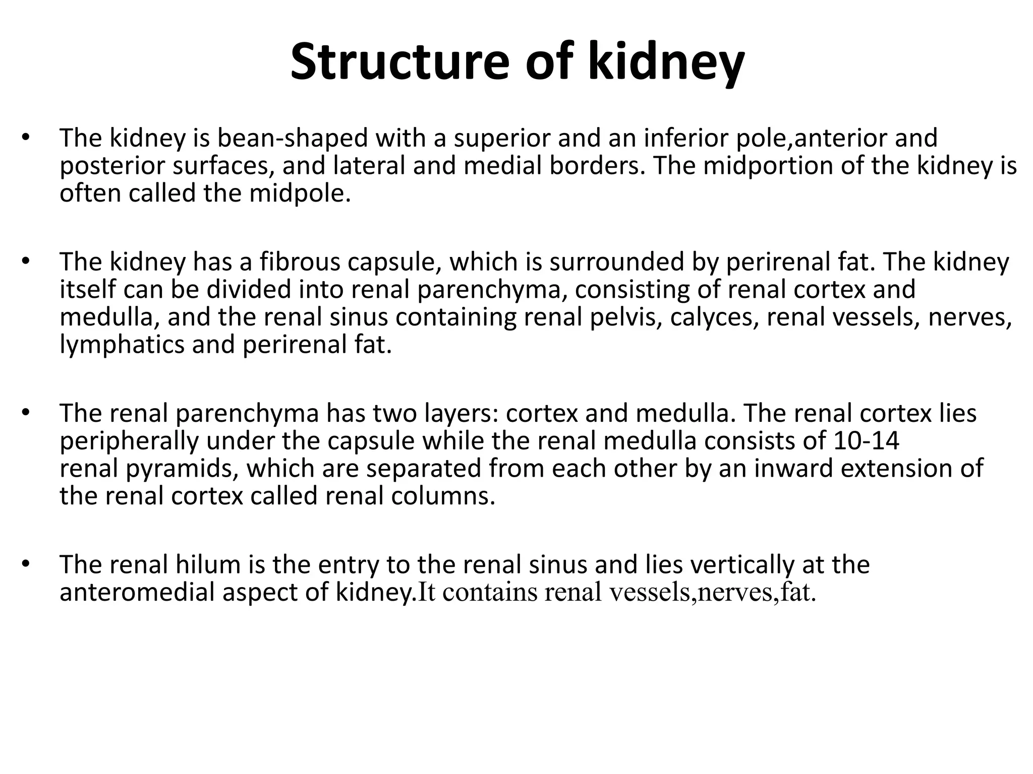 ANATOMY OF KIDNEY.pptx