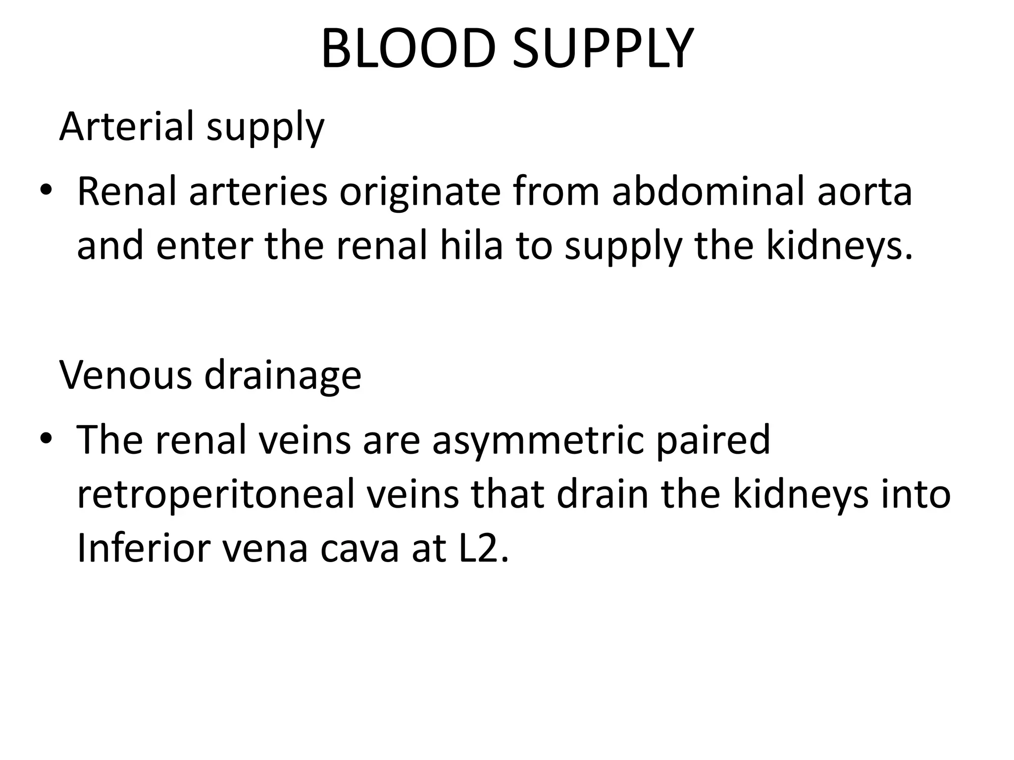 ANATOMY OF KIDNEY.pptx