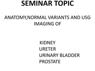 ANATOMY OF KIDNEY.pptx
