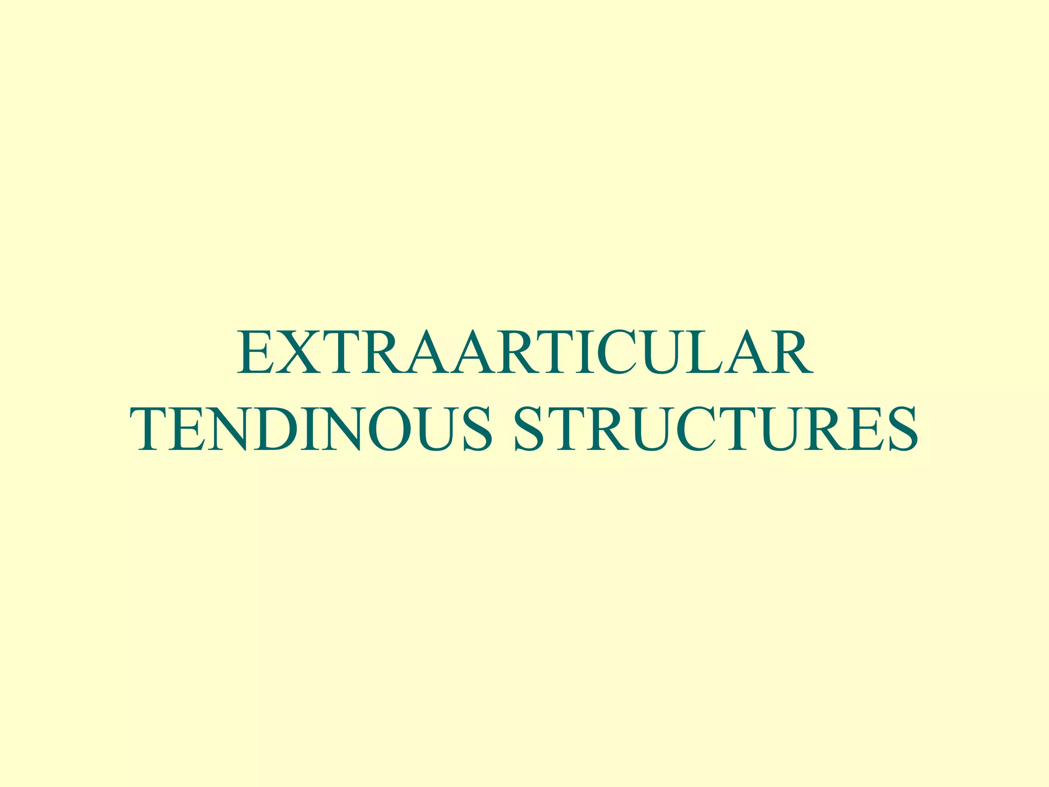Anatomy of knee | PPTX
