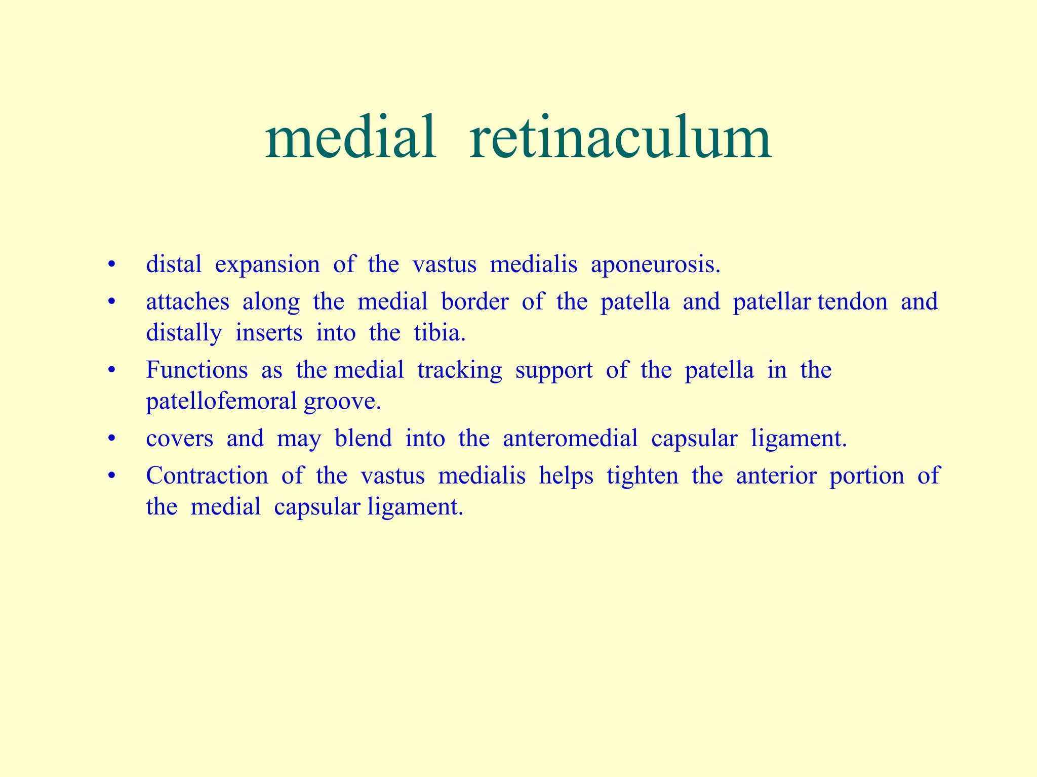 Anatomy of knee | PPTX