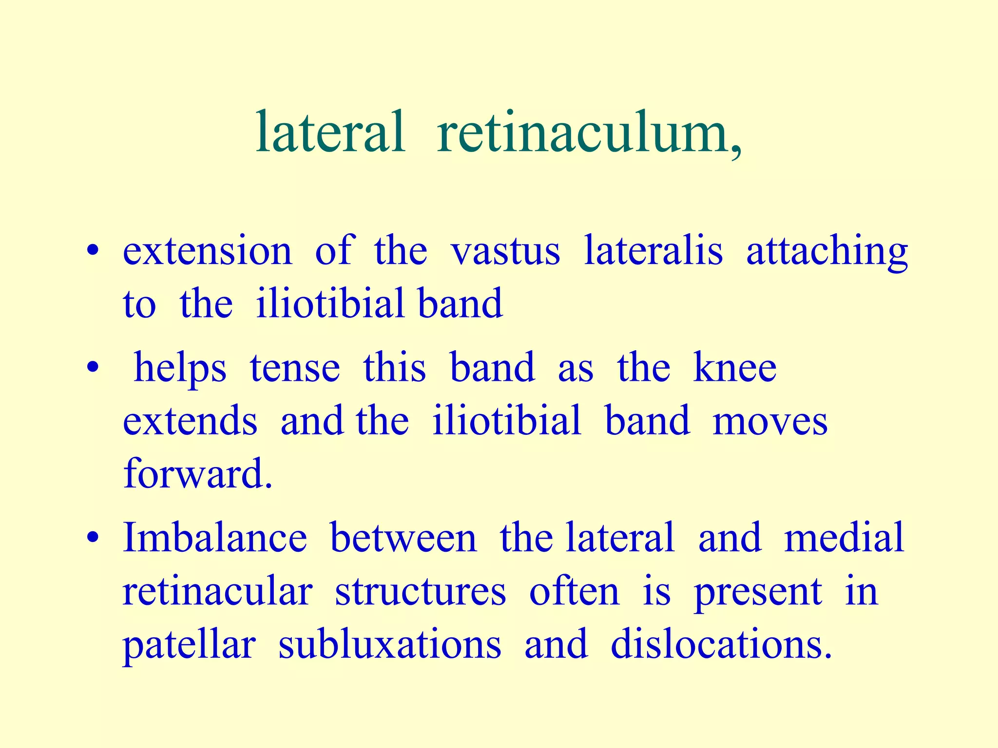 Anatomy of knee | PPTX