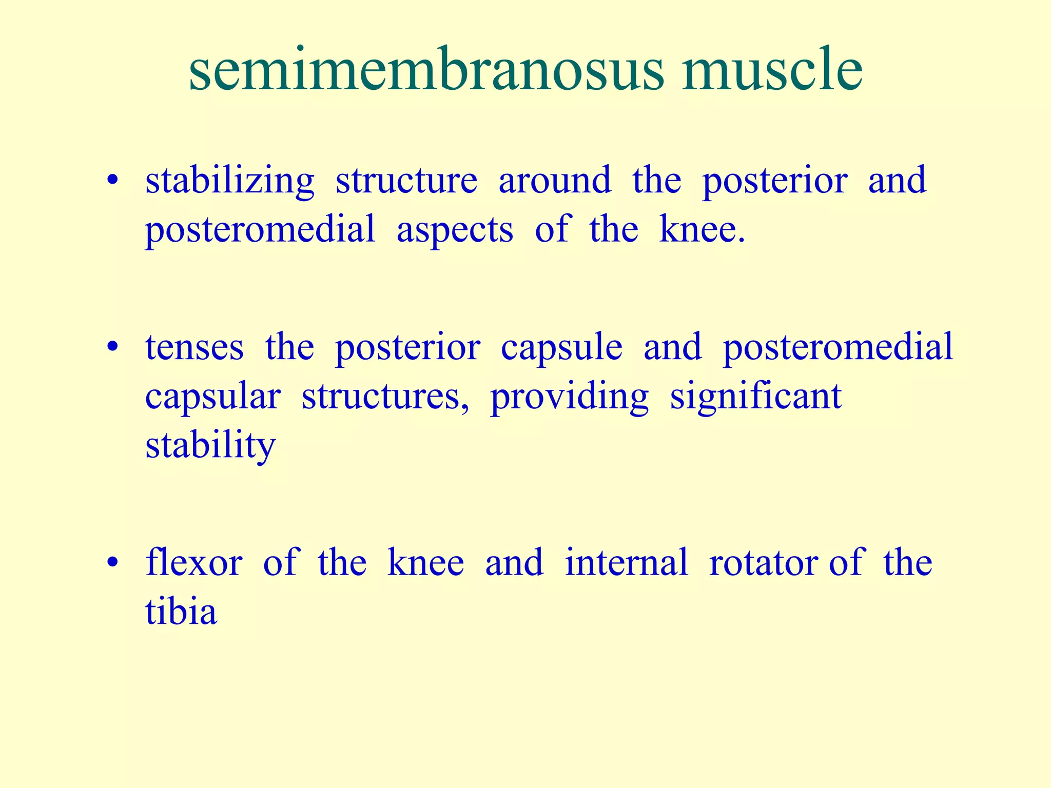 Anatomy of knee | PPTX