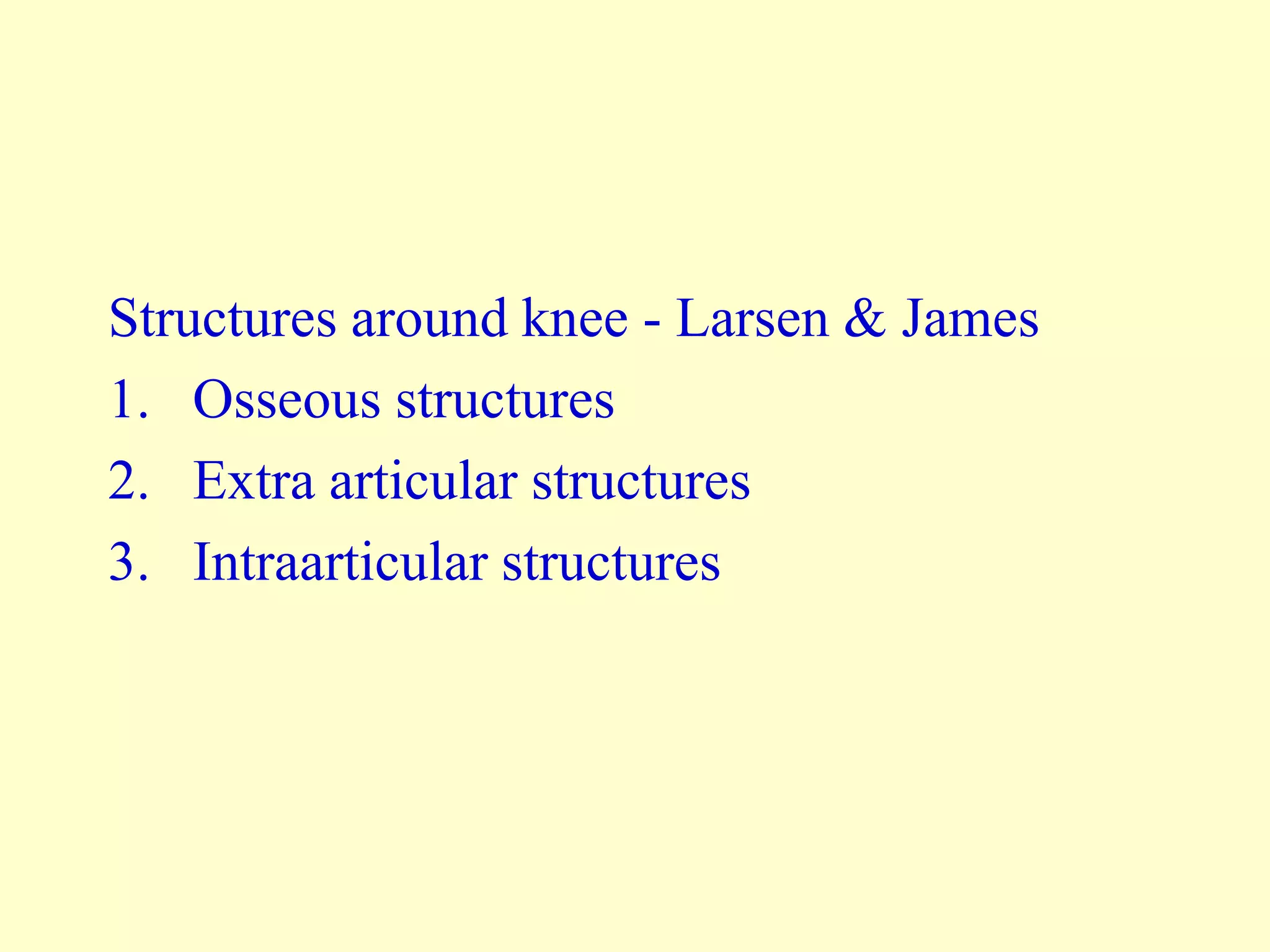 Anatomy of knee | PPTX