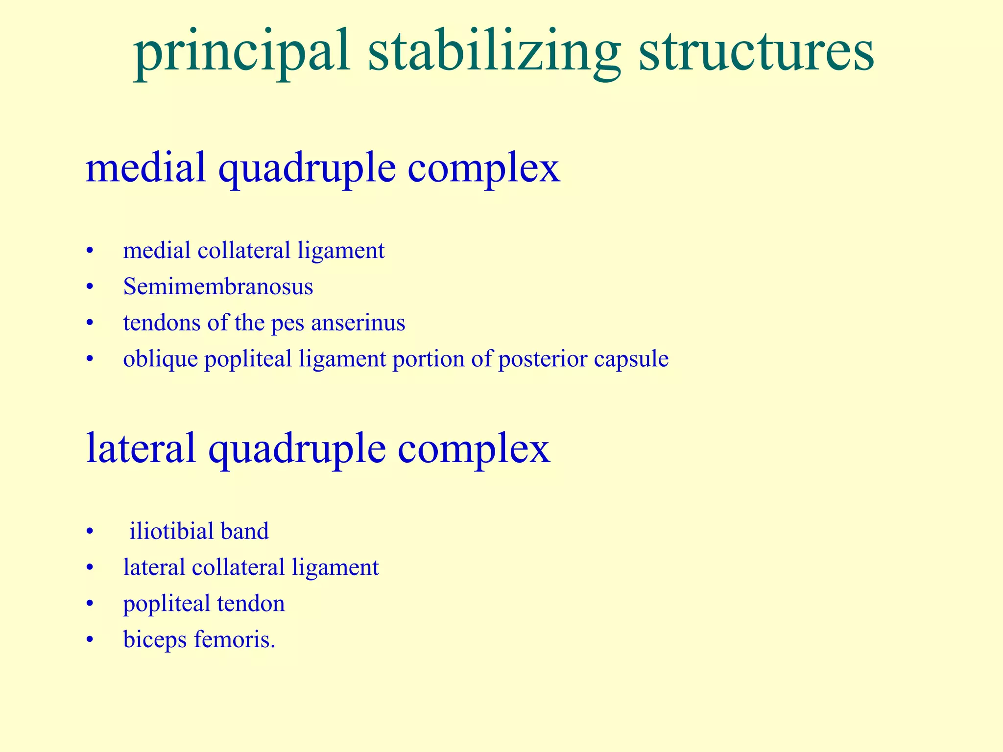 Anatomy of knee | PPTX