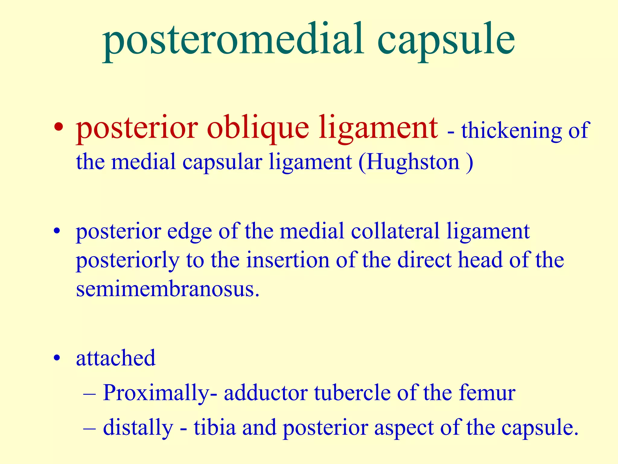 Anatomy of knee | PPTX