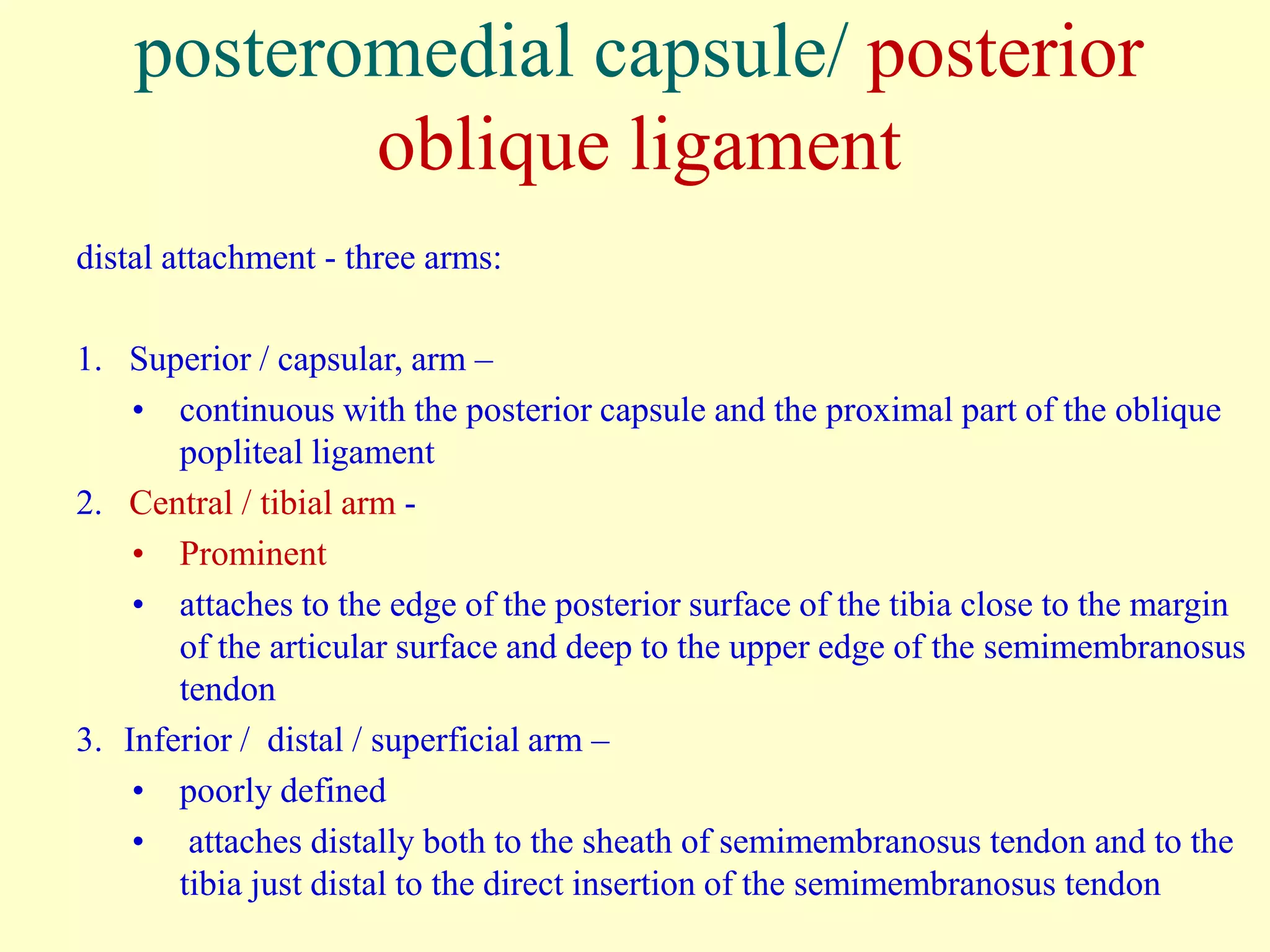 Anatomy of knee | PPTX