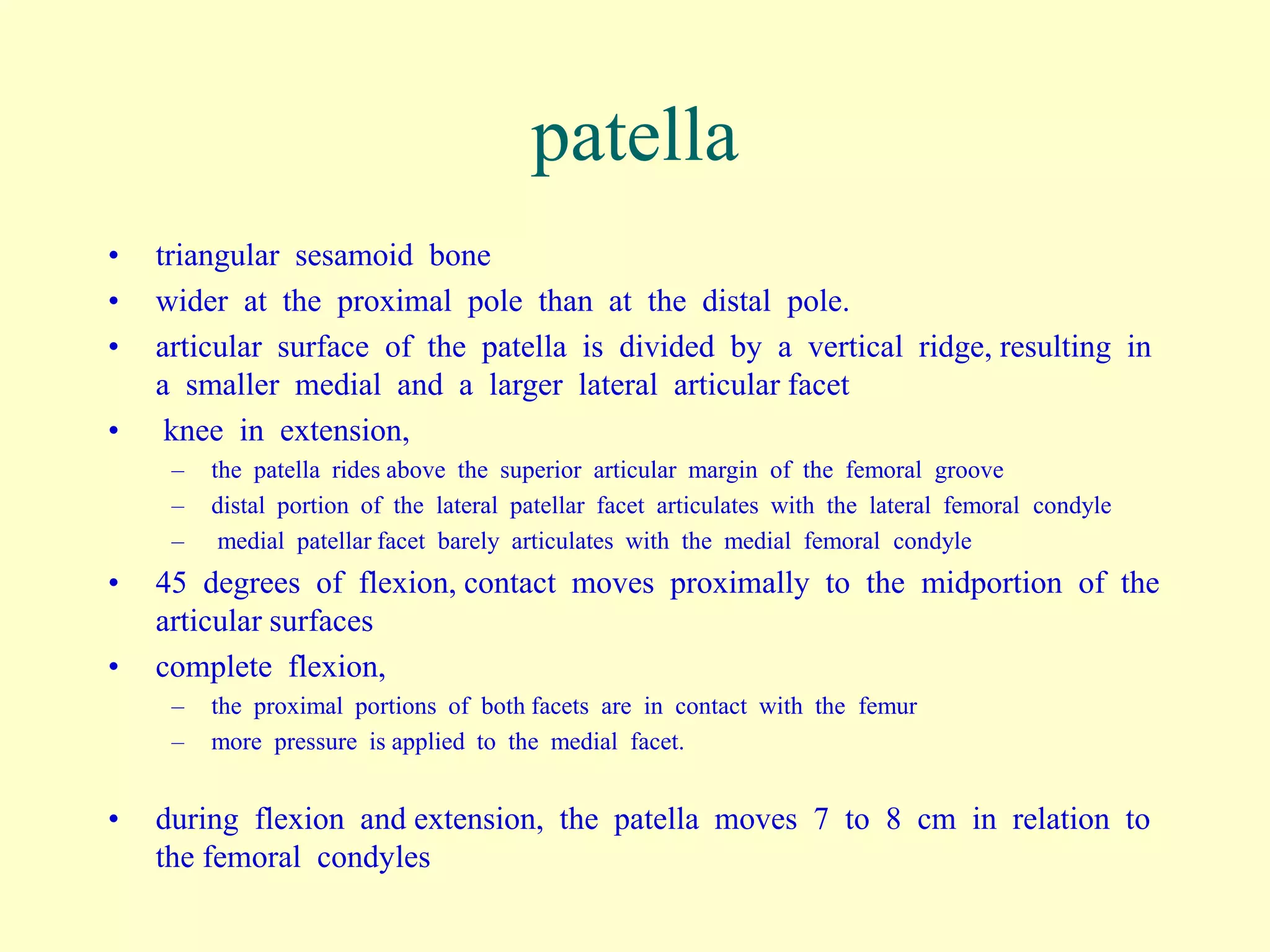 Anatomy of knee | PPTX