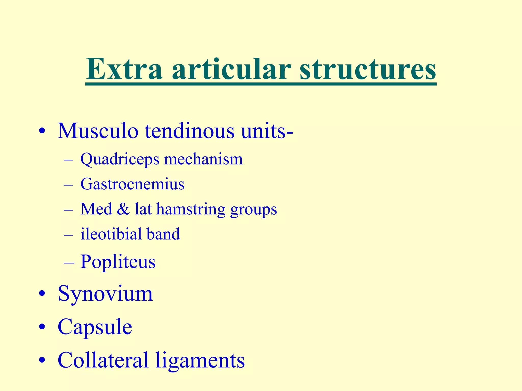 Anatomy of knee | PPTX