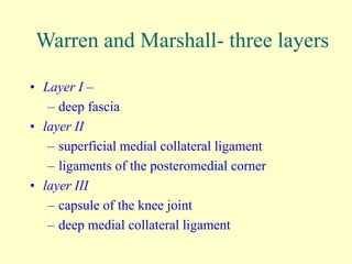 Anatomy of knee | PPTX