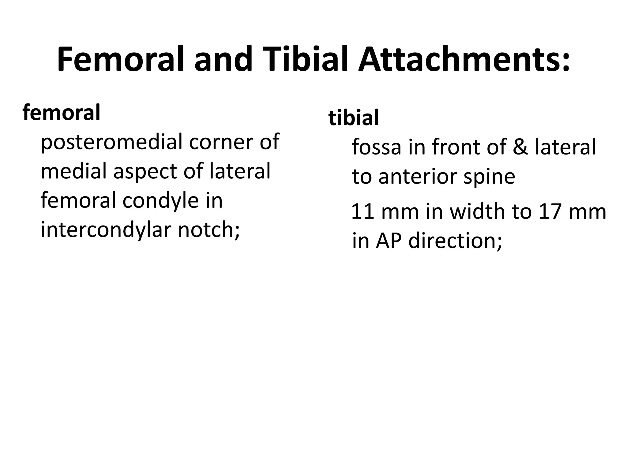 Anatomy of knee and biomechanics | PPTX
