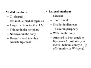 Anatomy of knee and biomechanics | PPTX
